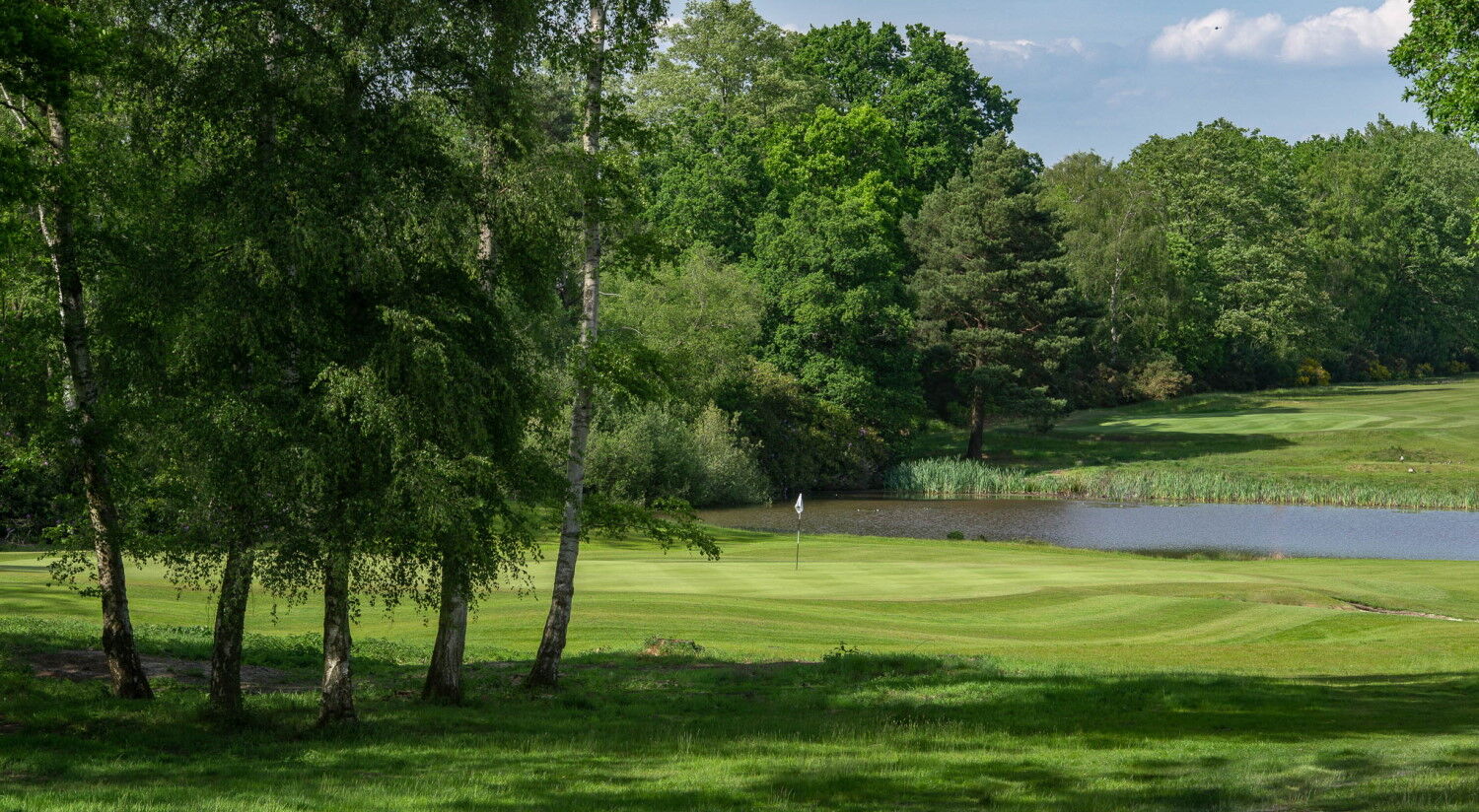 Home [www.northhantsgolf.co.uk]